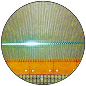 Escalators & Travelators – Trident Elevator